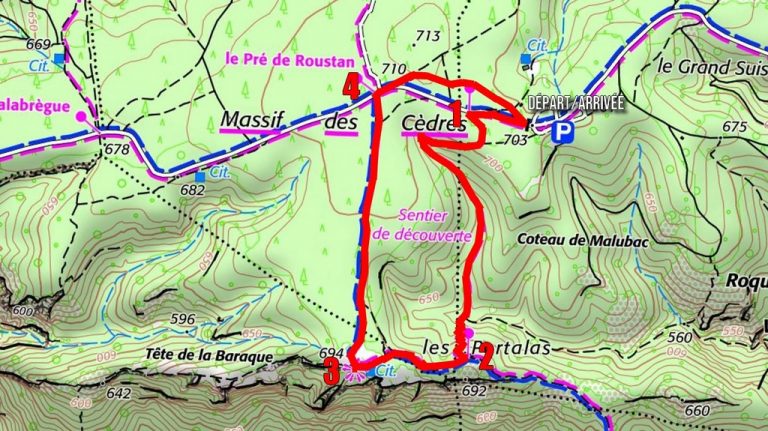 Randonnée à La Forêt Des Cèdres