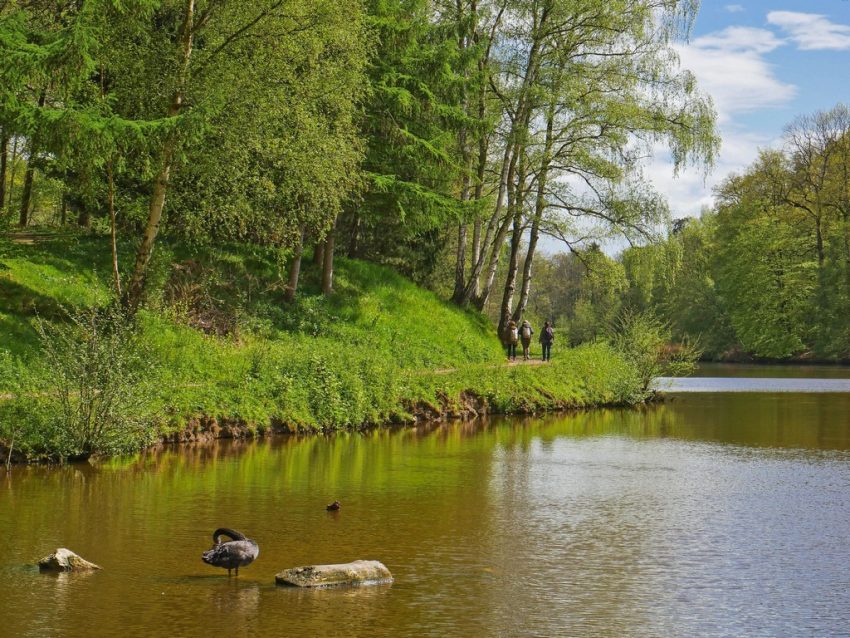 Circuit de La Chevrette : Retour aux Sources à Forges-les-Eaux