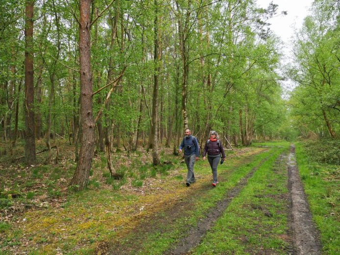 Le Genetey et La Roumare : Immersion à pied dans le Poumon Vert de Rouen
