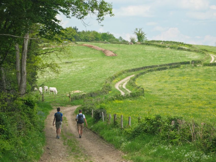 5 Bonnes Idées de Randonnées pour Découvrir un Autre Morvan