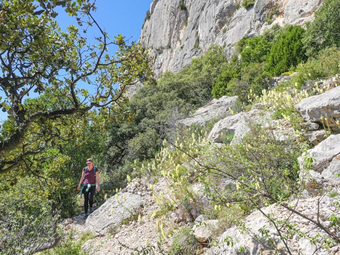 Dentelles de Montmirail : le plus beau des Dentelles en une seule boucle