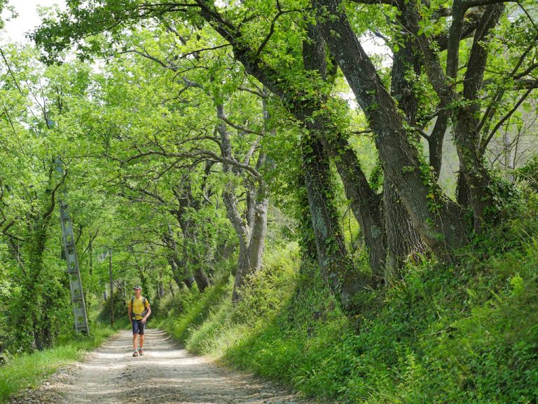 P2390277 - copie - Carnets de Rando